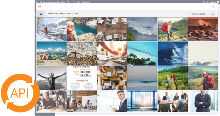 Integrations for your DAM system – REST API | Canto