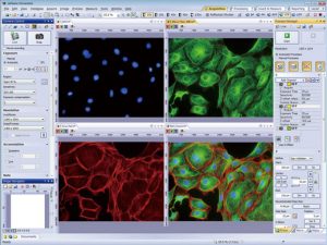 Image processing software – 3 unique options | Canto