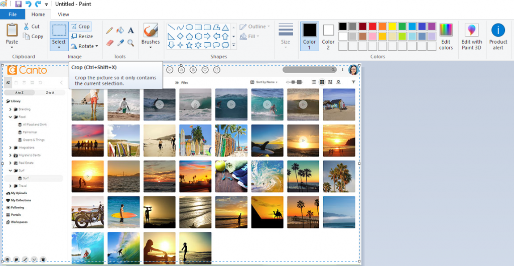 How to crop an image – A comprehensive guide | Canto