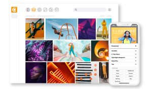 Why DAM is important for your 2022 budget | Canto