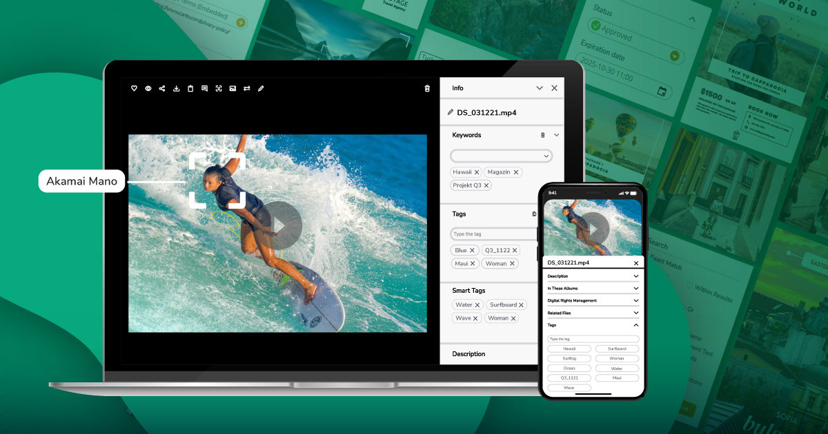 Canto Features Empower Creators Amid Surging Demand | Canto