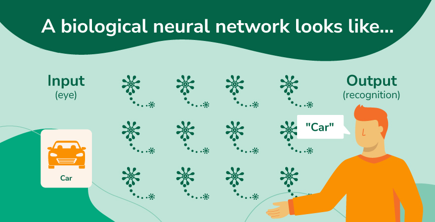 Demystifying deep learning and how it works | Canto